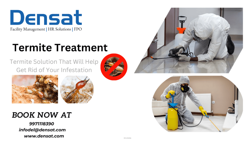Termite Treatment